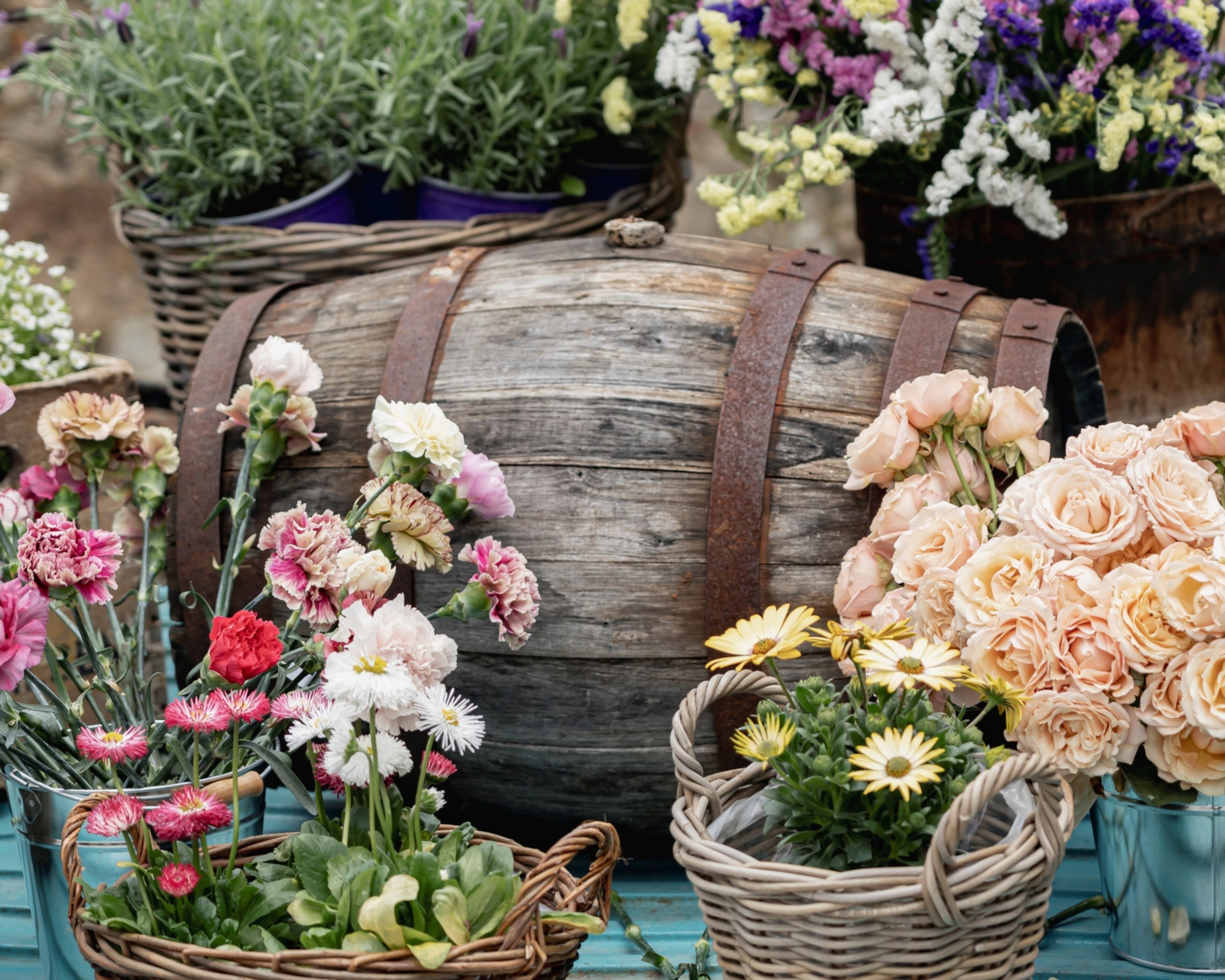 Castelfalfi Spring Festival | Castelfalfi